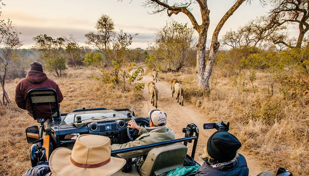 Explore Sabi Sabi Game Reserve - 4x4 Tanzania